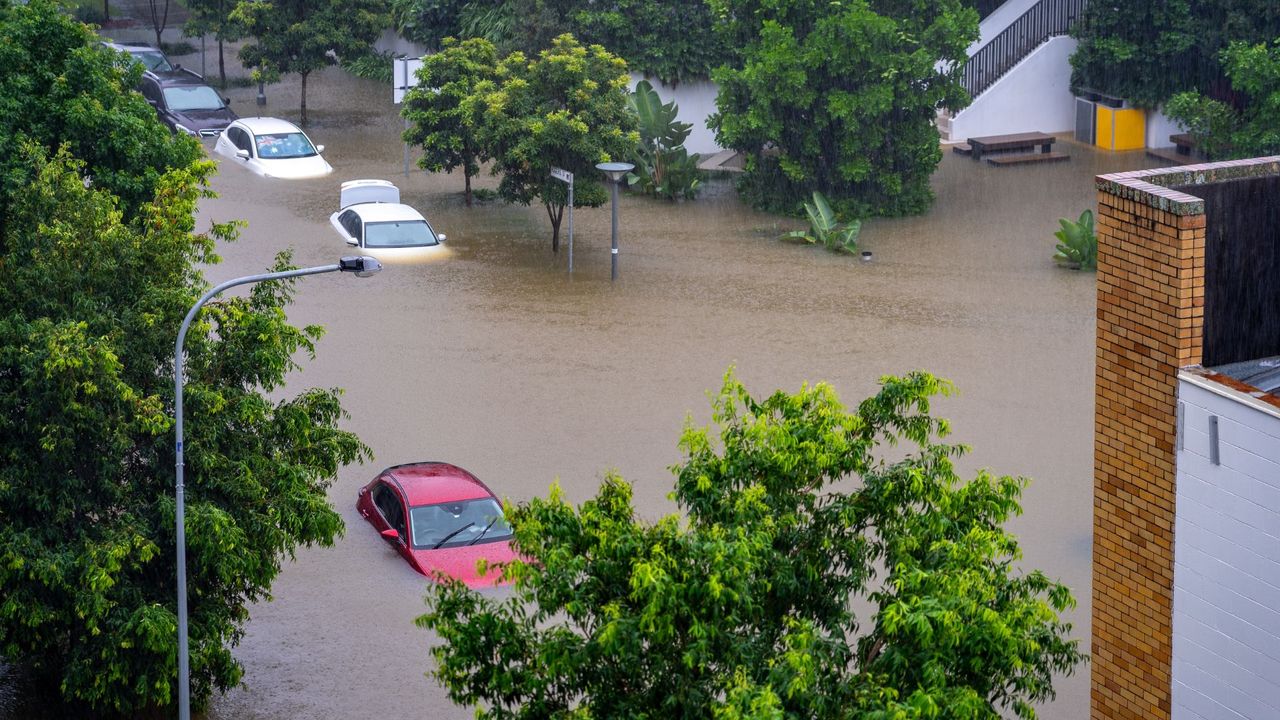 IDF unveils parametric flood insurance to protect 4 million in Lagos ...